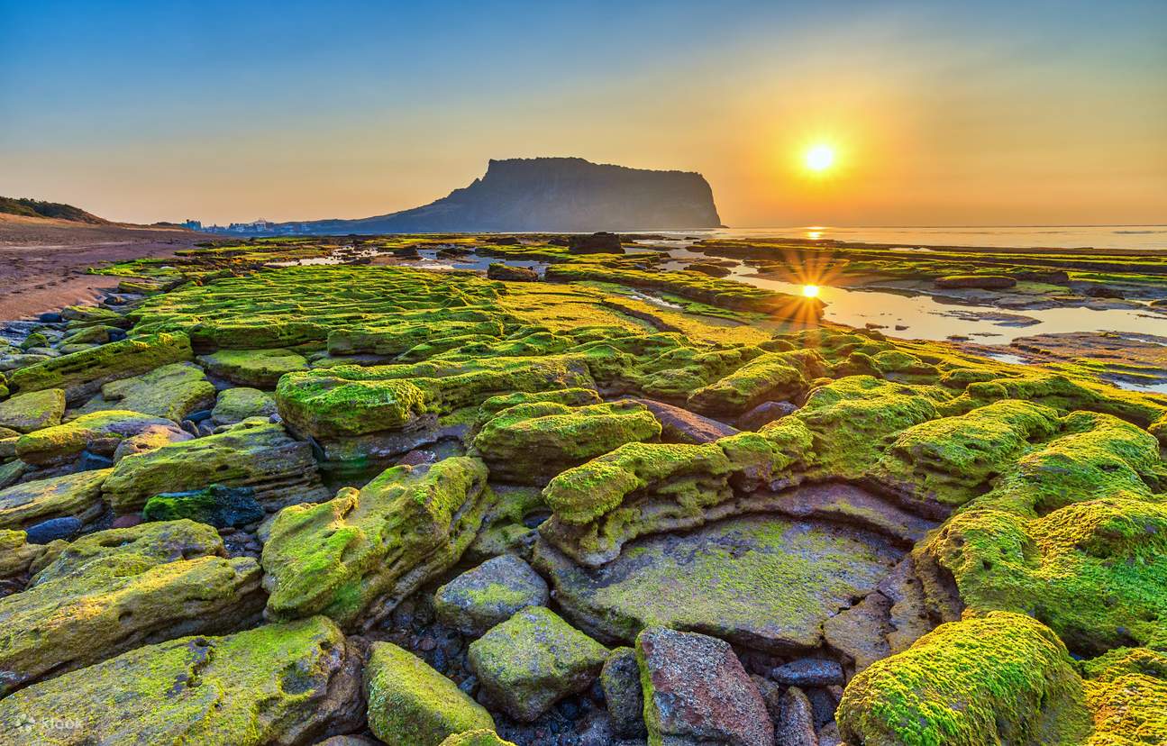 Jeju East Area Private Day Tour - Klook United Kingdom