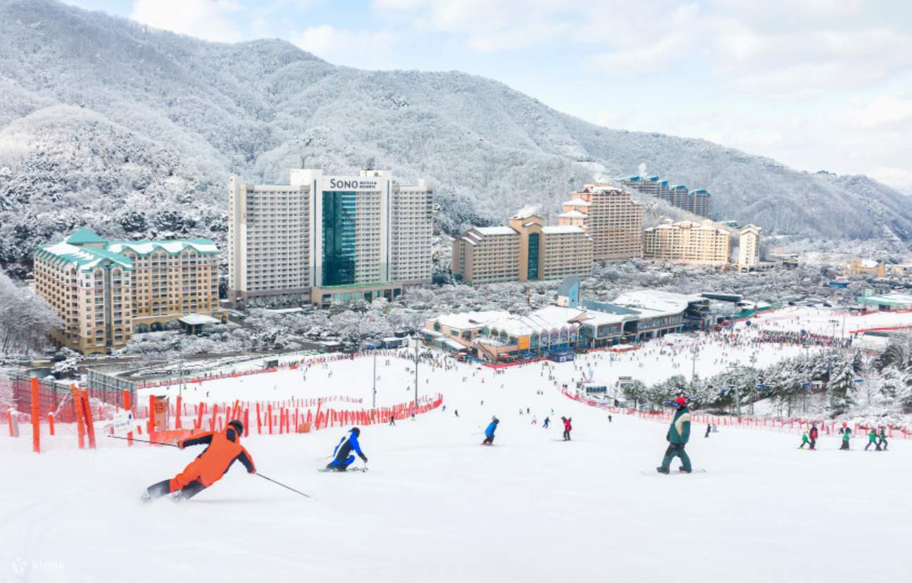 Vivaldi Park / Ski + Snowboard + SnowyLand Day Tour - Klook