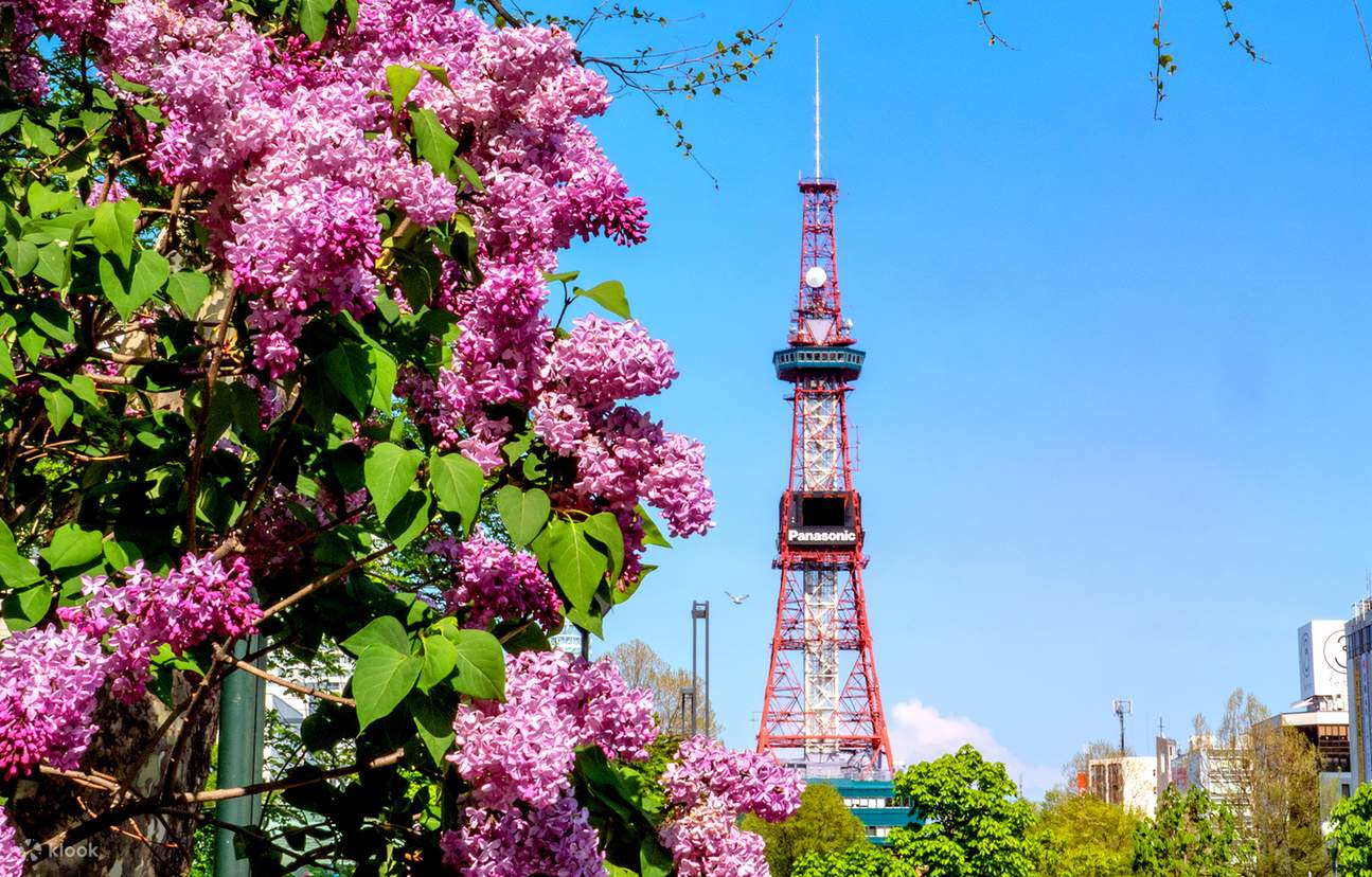 Hokkaido｜Tur Sehari Memetik Lembah Neraka & Kebun Danau Toya ...