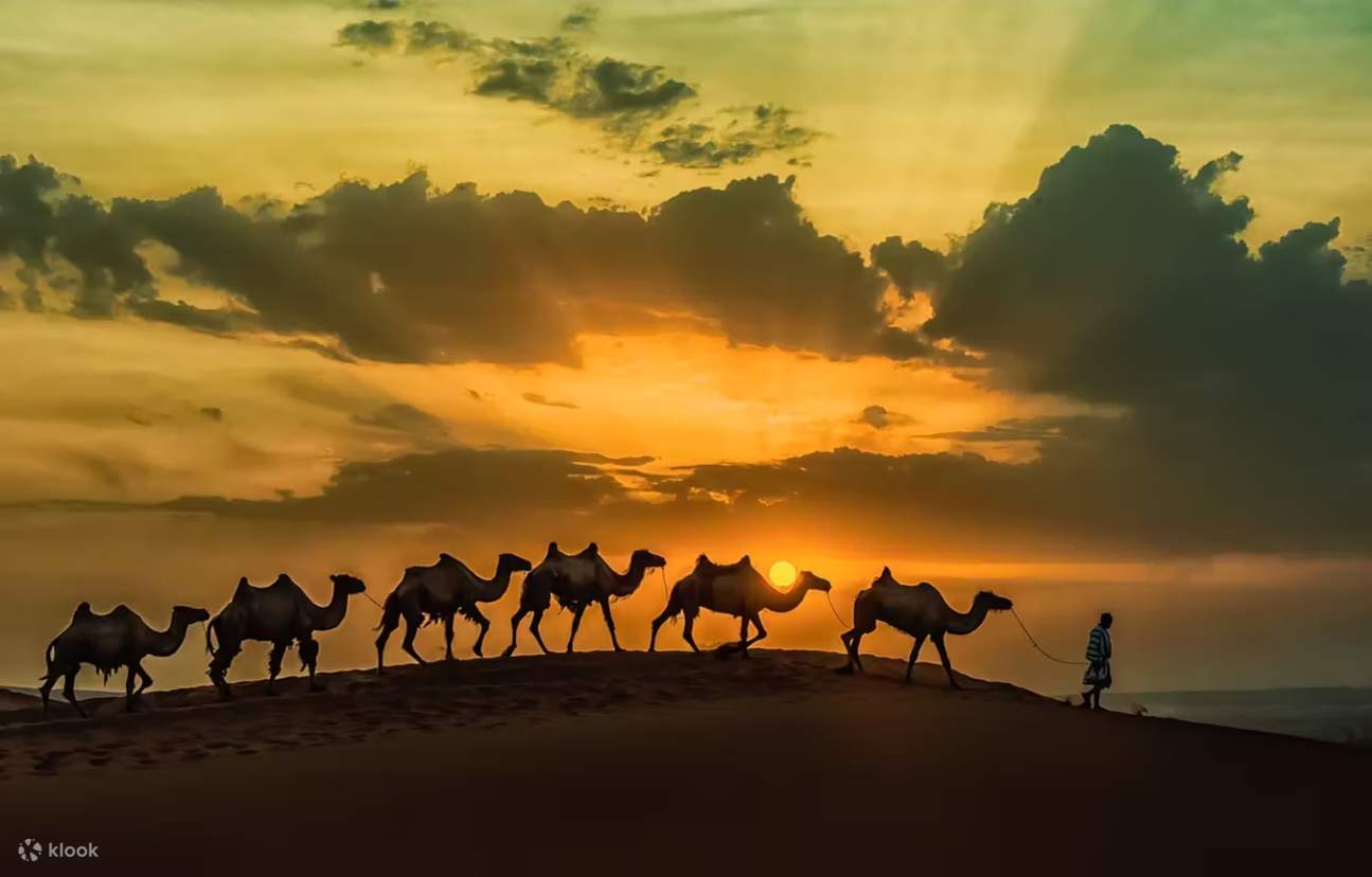Xinjiang Turpan Fantasy 1-Day Tour (Round Trip from Urumqi + Kumtag ...