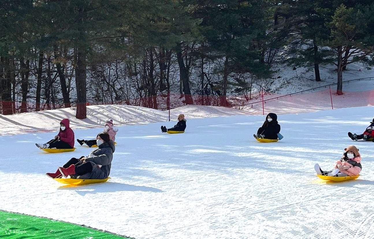 Vivaldi Park / Ski + Snowboard + SnowyLand Day Tour - Klook