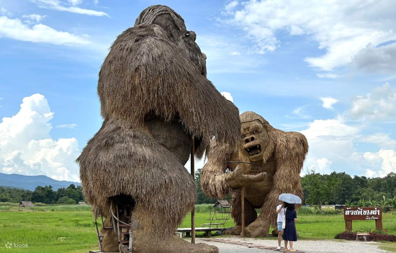 Chaing Mai Mon Jam Cafe and Sunset Tour Join In Tour - Klook Singapore