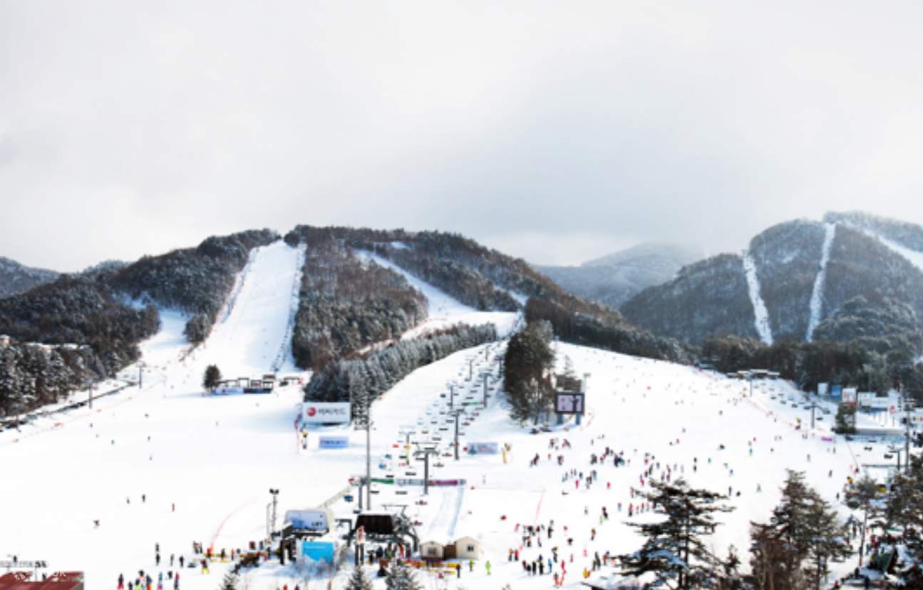 Elysian Gangchon Jisan Alpensia Yong Pyong Private Ski Tour Klook