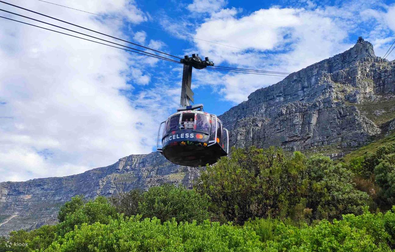 Table Mountain, Cape of Good Hope & Penguins Private Day Tour - Klook