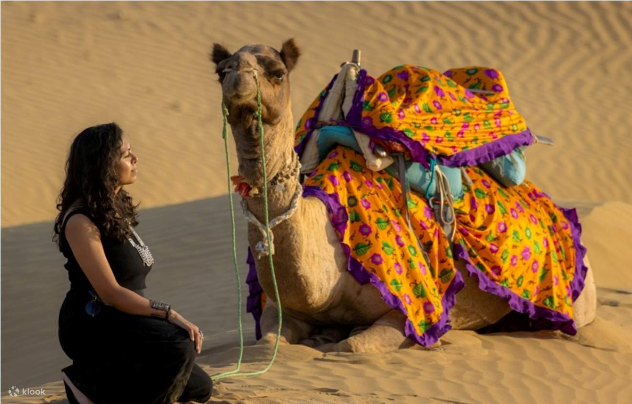 From Jodhpur: 2 Day Jaisalmer Tour with Nomadic Camel Safari - Klook