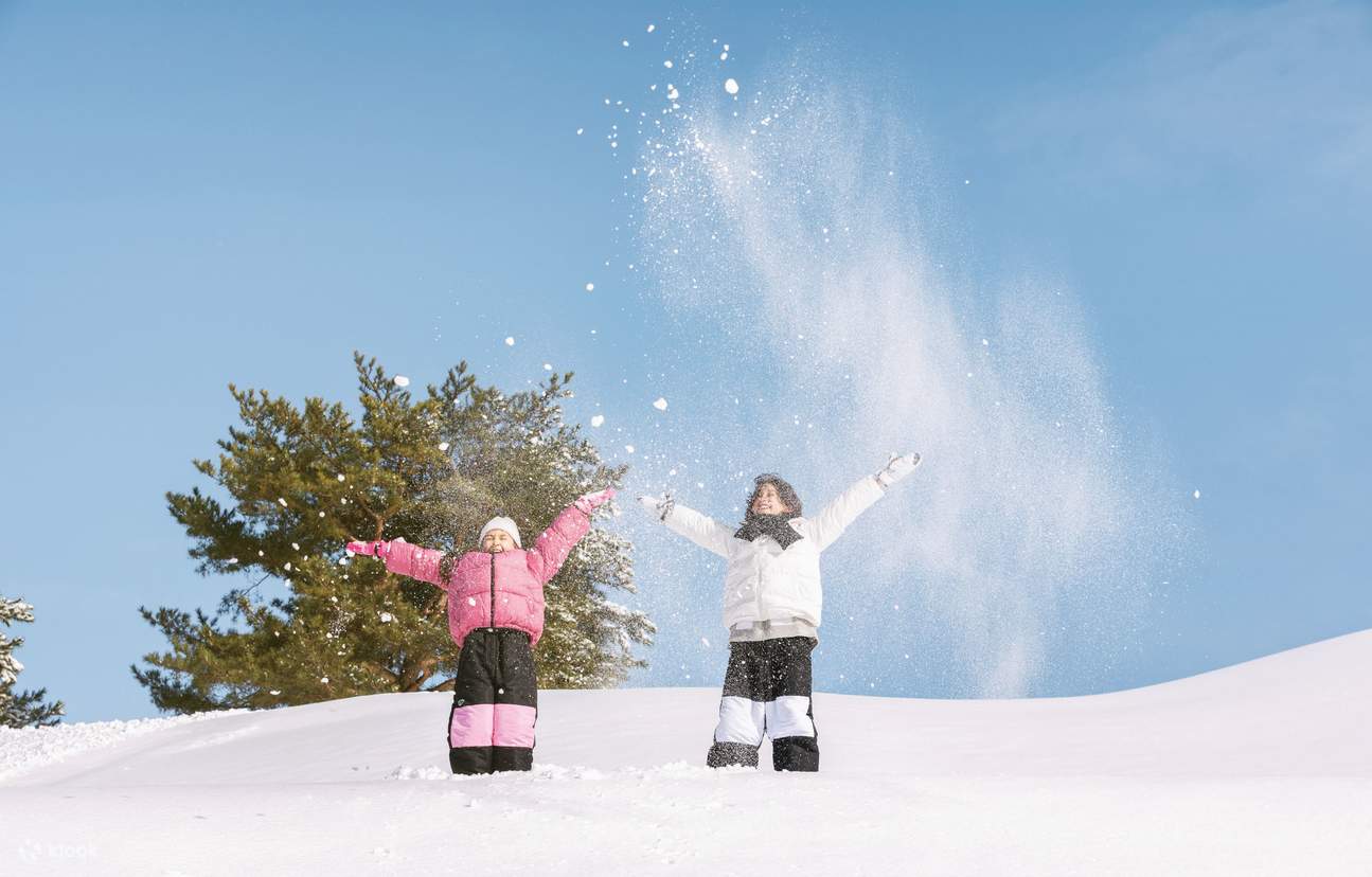 Vivaldi Park Snowyland & Eobi Ice Valley Day Tour from Seoul - Klook ...