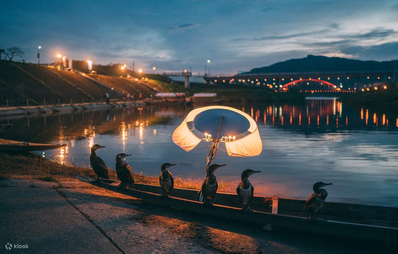 The Cormorant Fishing "Miyoshi Ukai" Viewing Ticket in Hiroshima ...