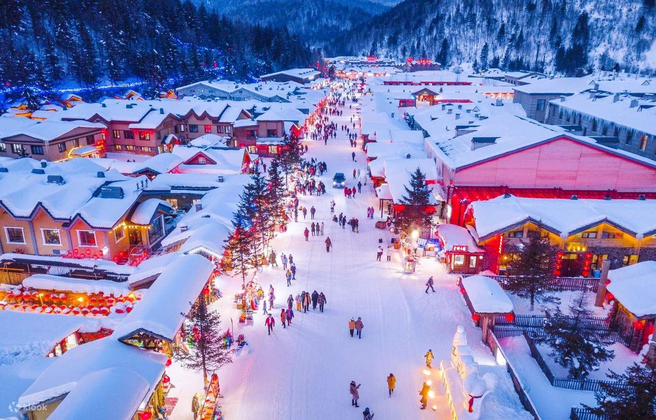 One-day tour to Snow Town, Harbin~ Ice and Snow Gallery/Datu Dingzi ...