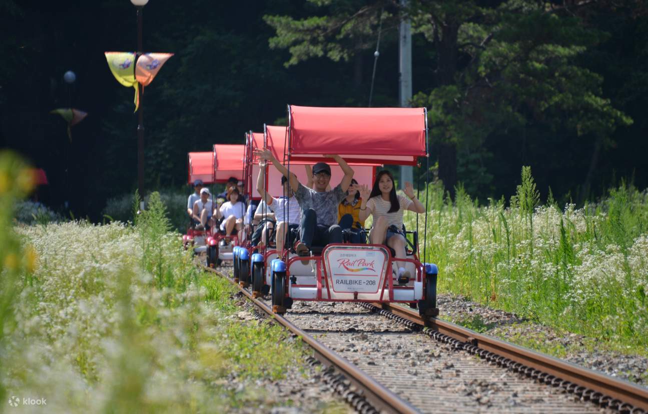 Alpaca World, Nami Island & The Garden of Morning Calm Private Tour ...