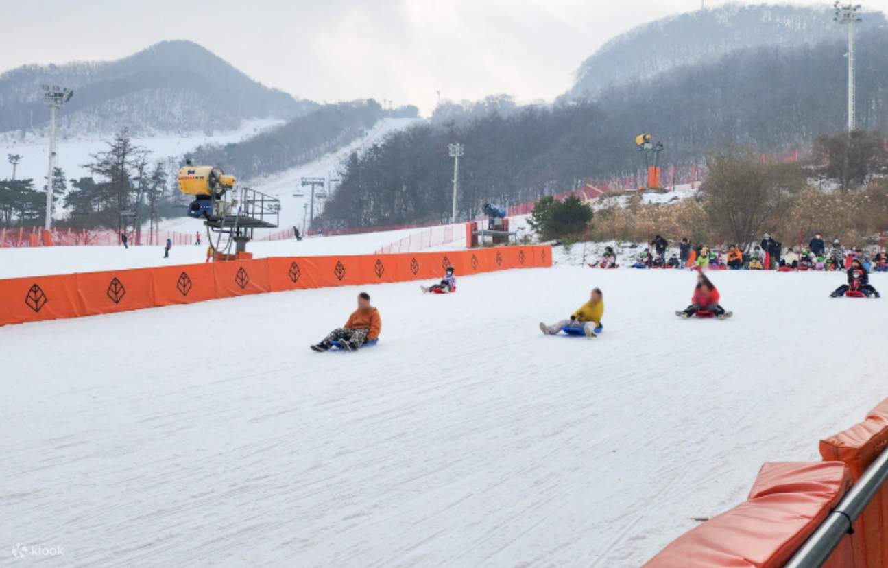Jisan Forest Resort Ski x Snowboard Day Tour - Klook Singapore