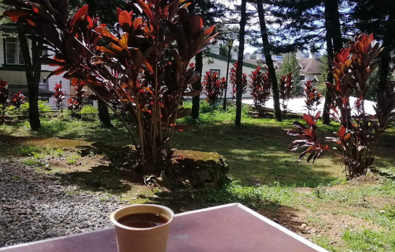 Baguio Cafe Walking Tour - Klook Россия