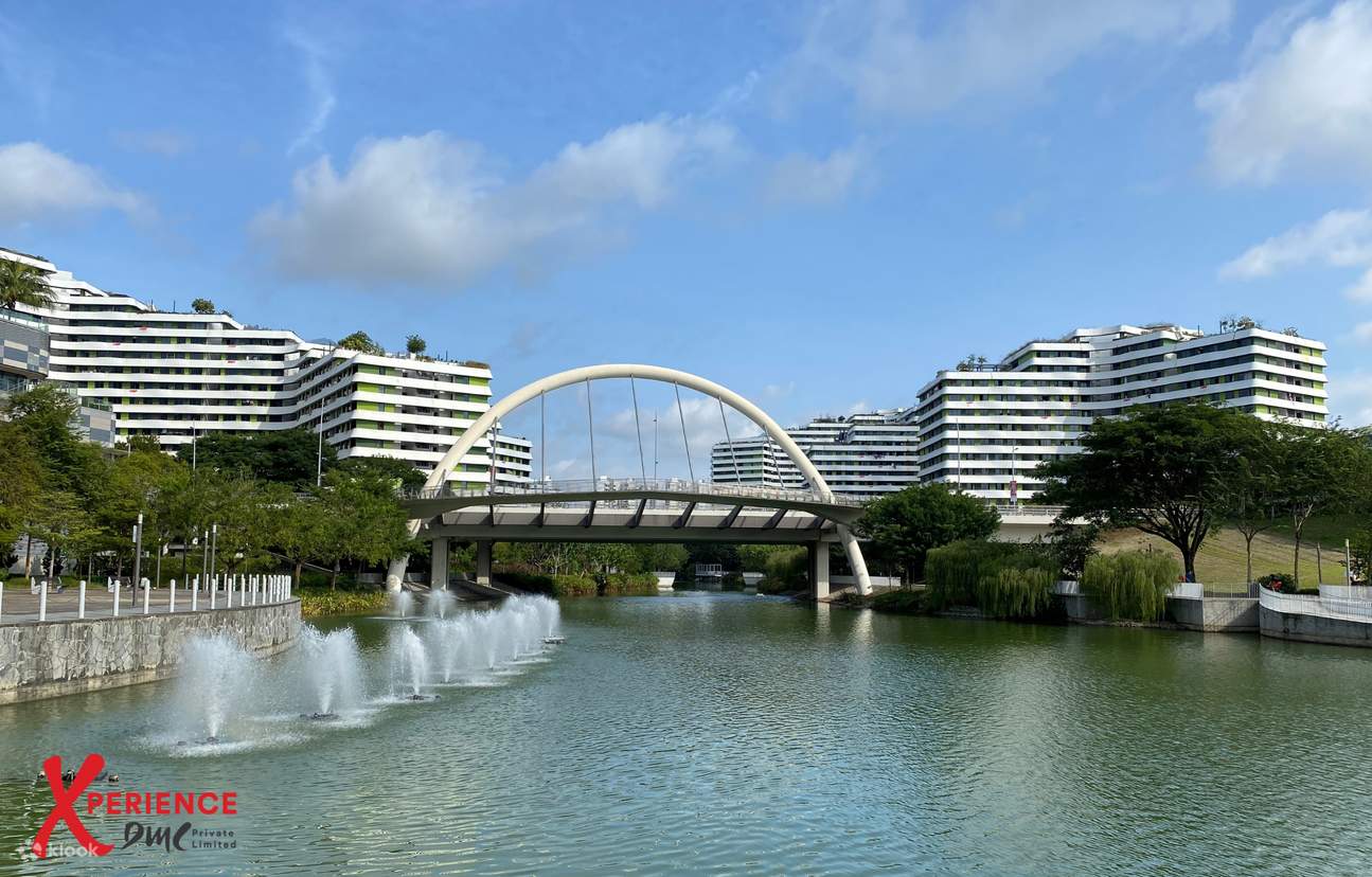 Idyllic Waterways, Wetlands and Bridges of Punggol (Cycling Tour ...