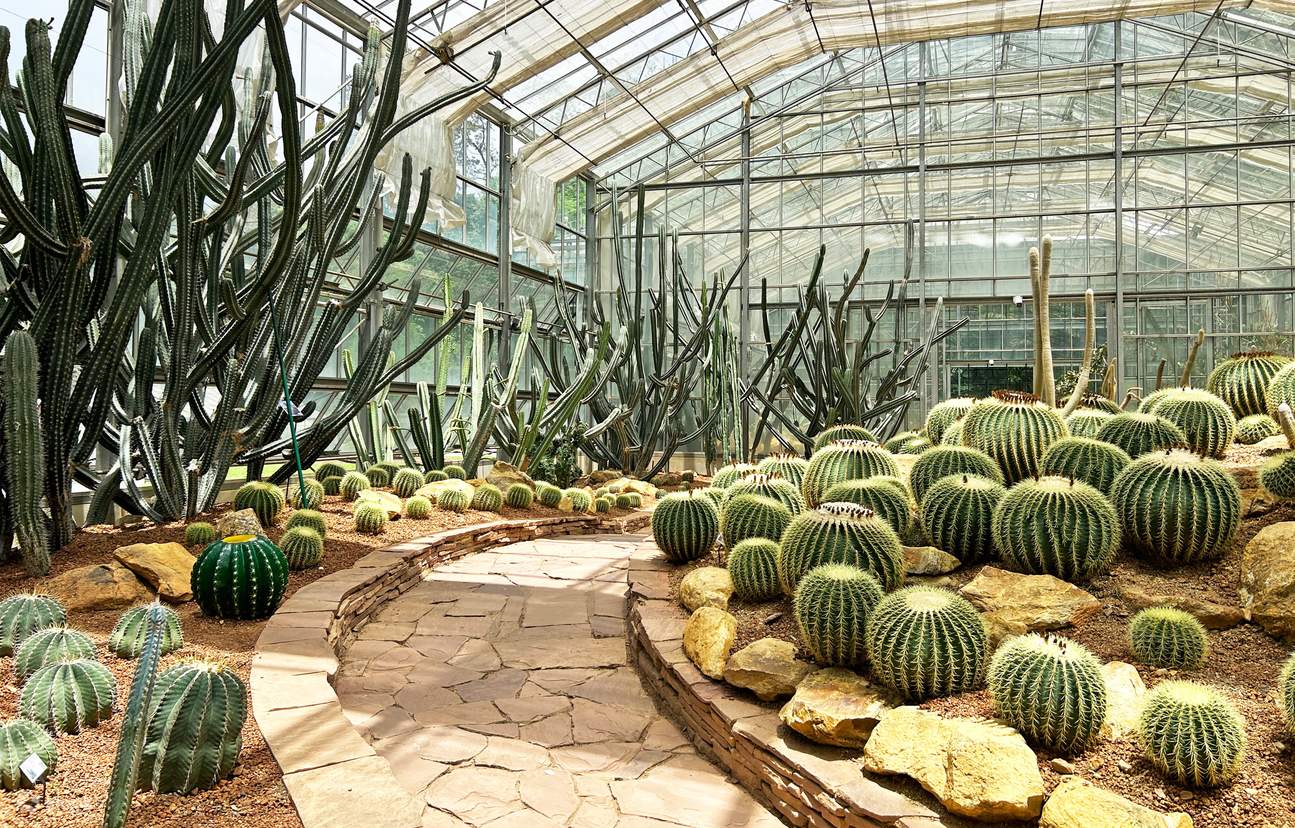 Moncham Private Customizable Multi-Day Tour - Klook India