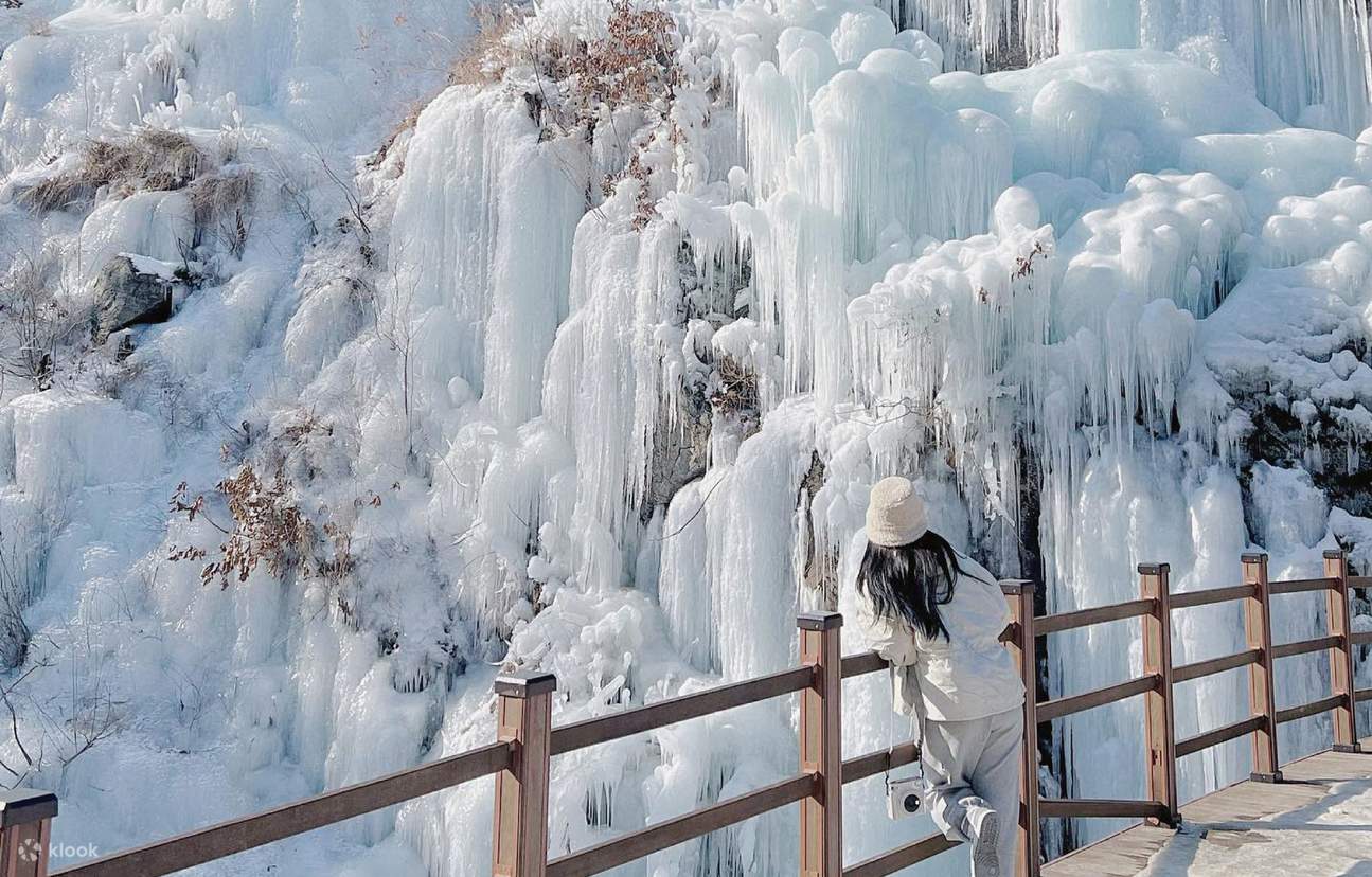Hwacheon Sancheonfish Ice Festival & Eobi Ice Valley Tour from Seoul ...