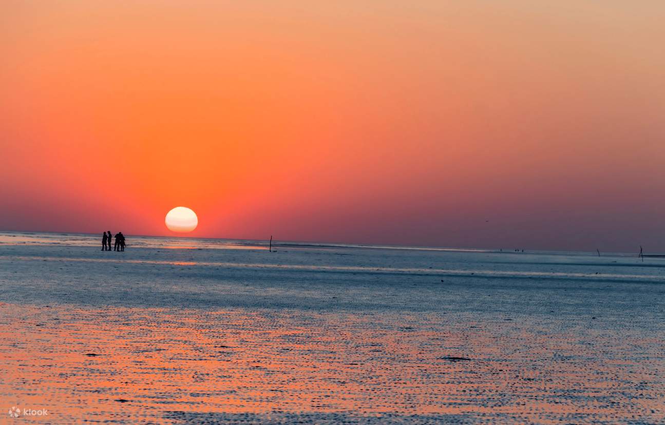 From Bhuj: 2-Day Rann of Kutch & White Rann Tour with Tent Stay - Klook ...