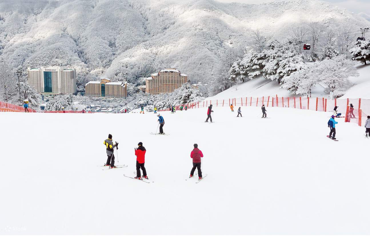 Vivaldi Park Snowyland & Eobi Ice Valley Day Tour from Seoul - Klook ...