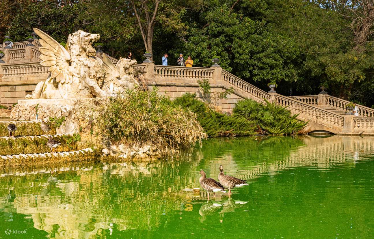 Ciutadella Photo Workshop and Tapa - Klook