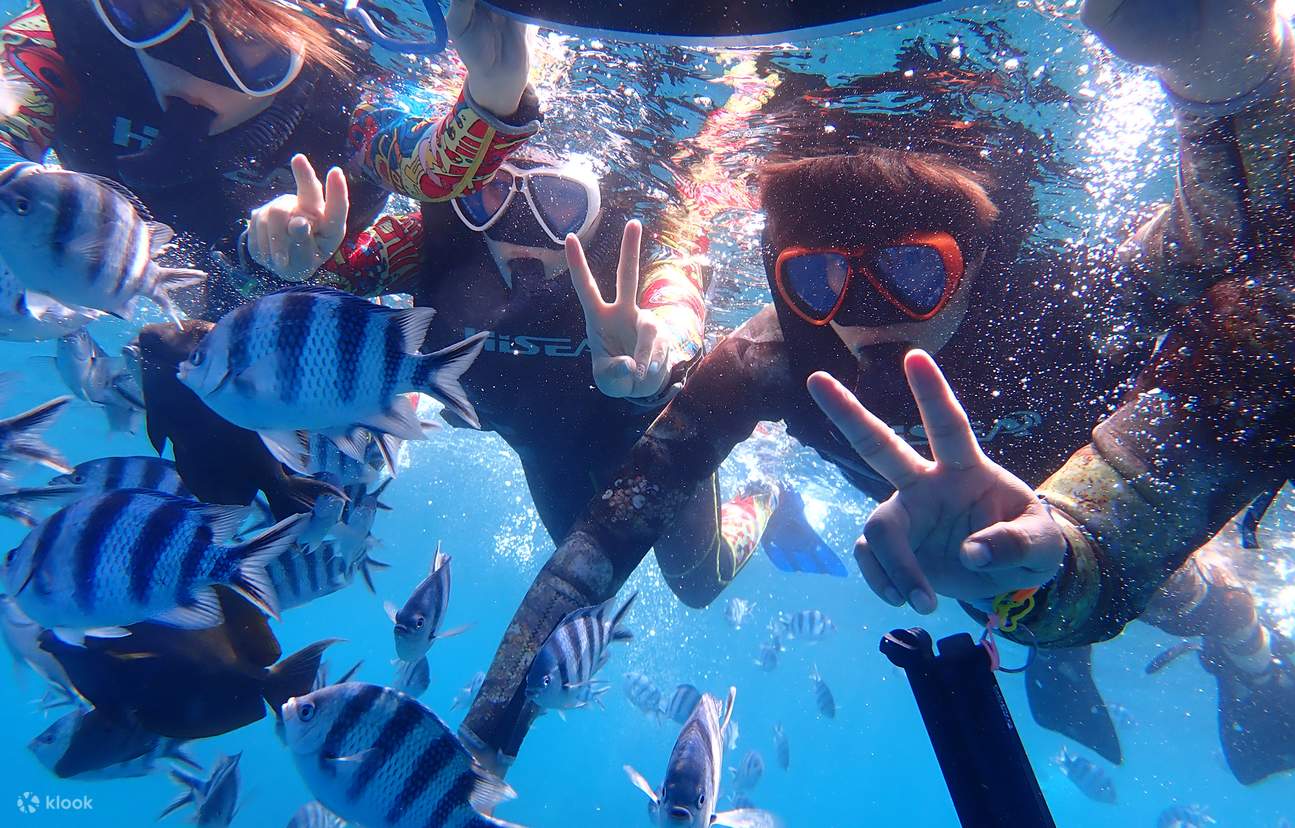 Immersive Okinawa Blue Caves: Snorkeling / Diving Experience, Choose ...