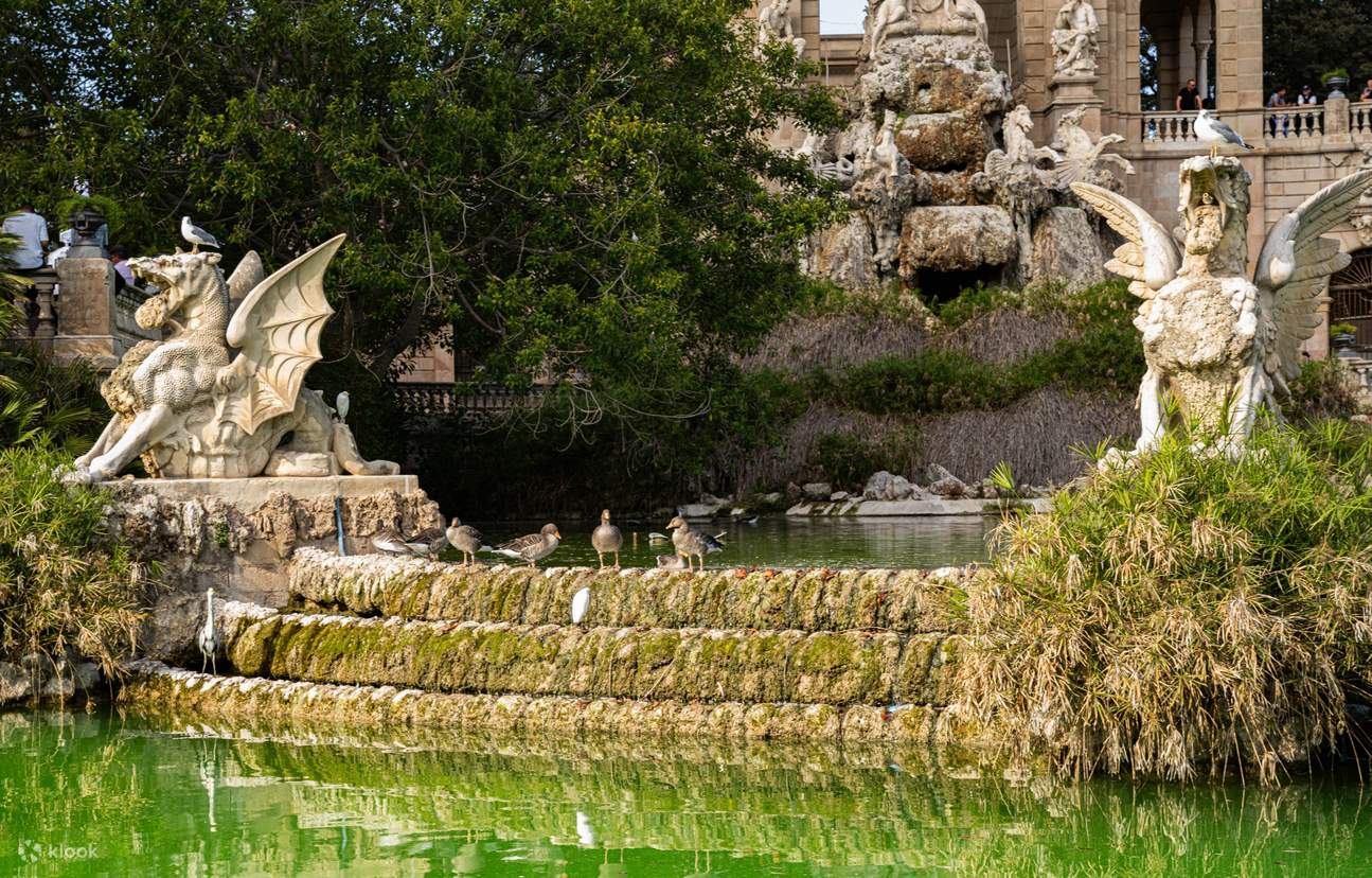 Ciutadella Photo Workshop and Tapa - Klook United States