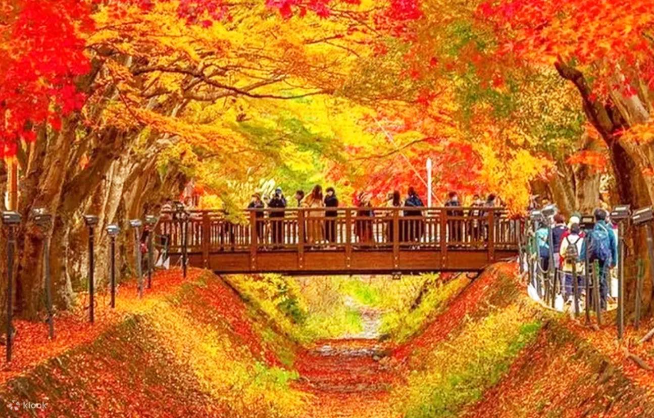가와구치 호수 And 아라쿠라야마 센겐 공원 And 후지산 5합목 And 후지산을 볼 수 있는 온천 속 야마나카 호수 클룩 Klook 한국