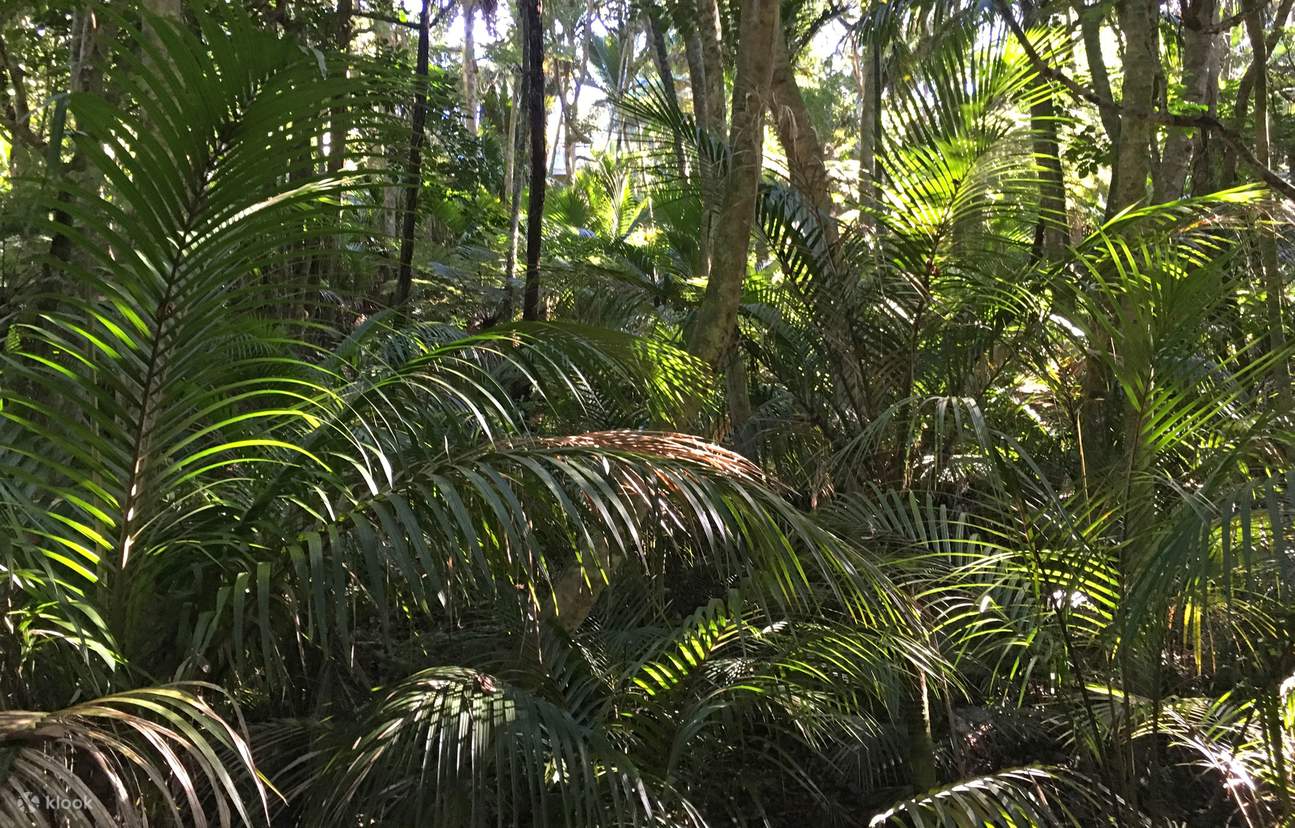 4D3N Waiheke Private Guided Backyard Break - Klook Philippines