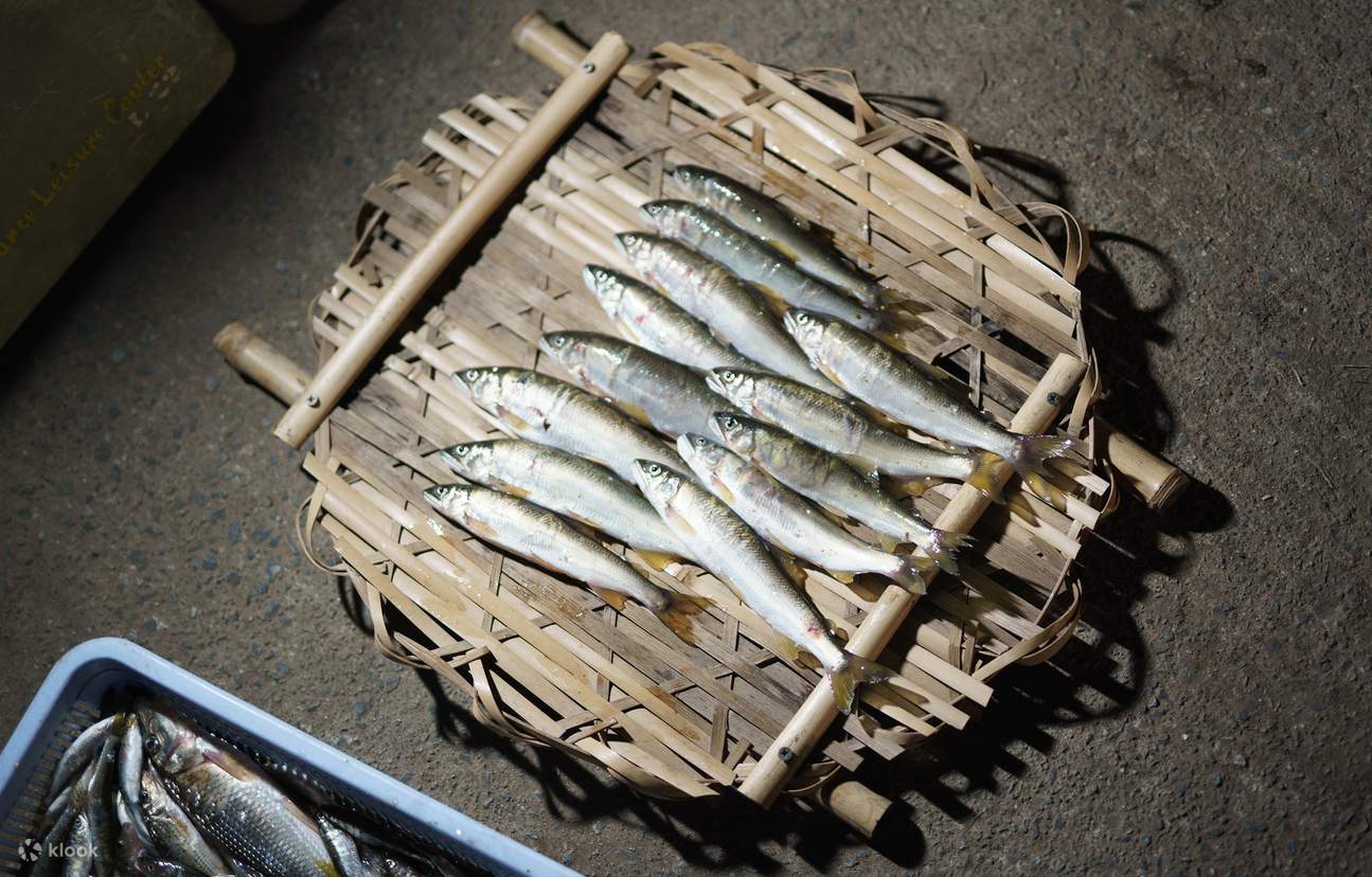 The Cormorant Fishing "Miyoshi Ukai" Viewing Ticket in Hiroshima ...