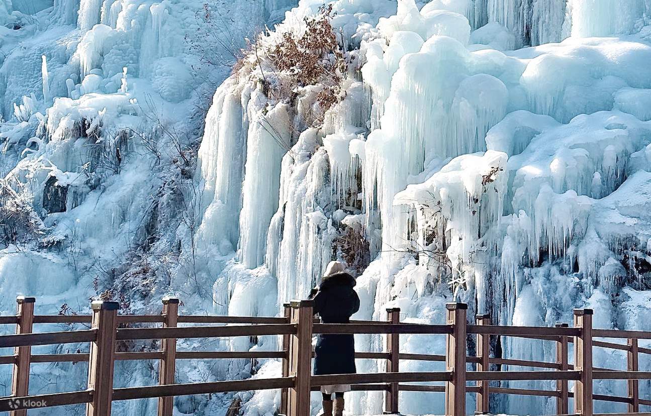 Vivaldi Park Snowyland & Eobi Ice Valley Day Tour from Seoul - Klook ...