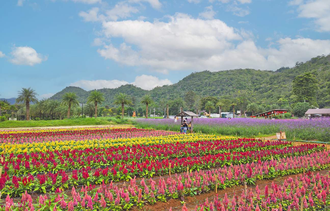 Khao Yai Private Customize Day Tour from Bangkok with Multi Packages ...