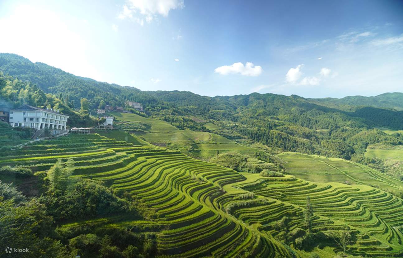 Lawatan Hari Teres Padi Guilin Longji (Pemandu Bahasa Cina/Inggeris ...