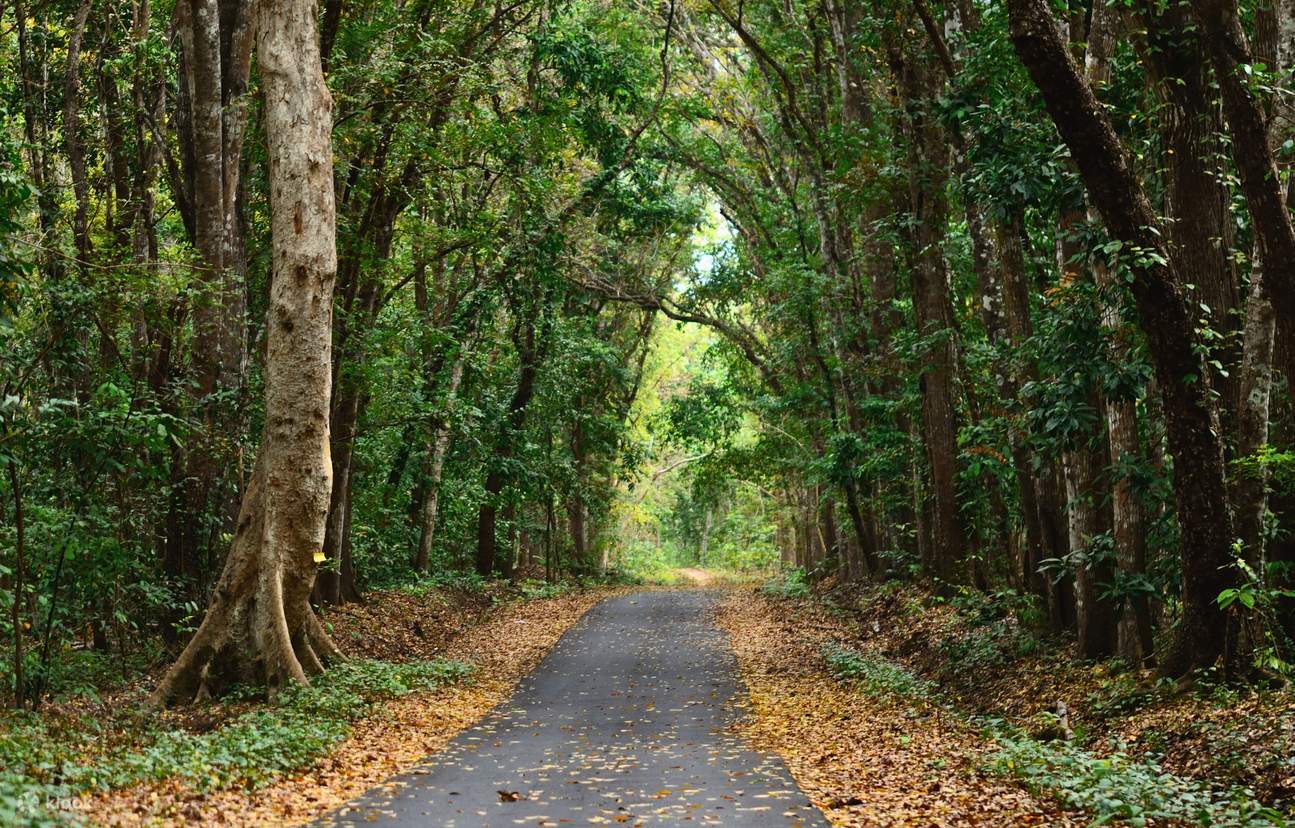 Alas Purwo National Park Day Tour from Banyuwangi - Klook Australia