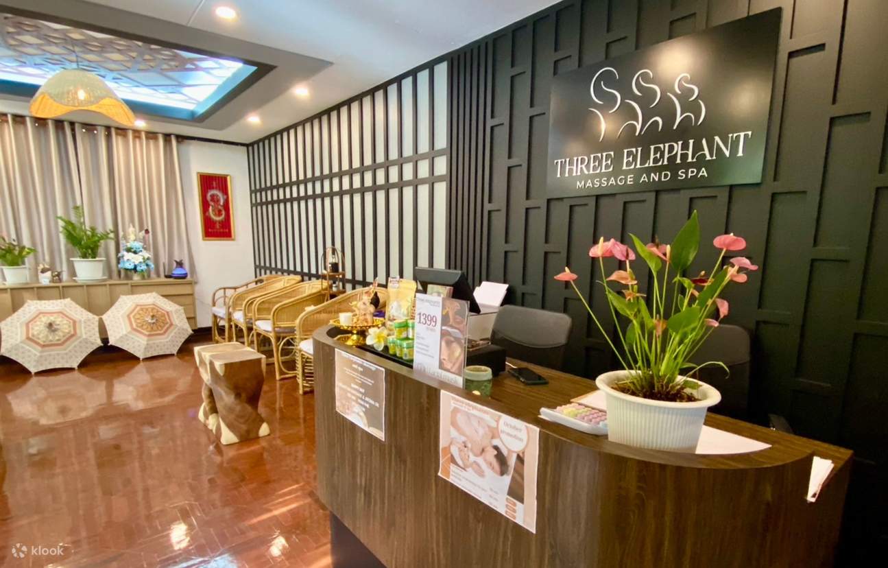Three Elephant Massage and Spa Experience in Chiang Mai - Klook