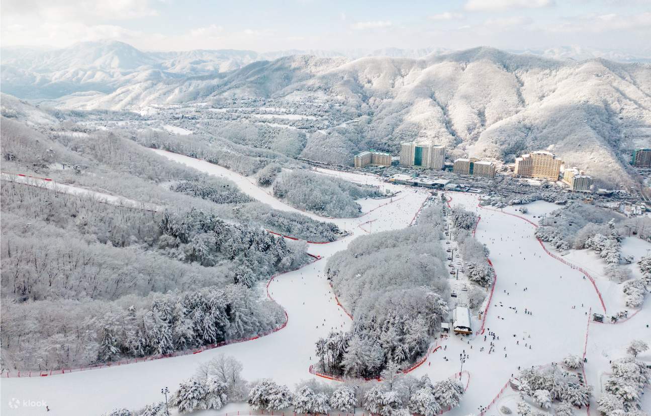 Vivaldi Park Snowyland & Eobi Ice Valley Day Tour from Seoul - Klook ...