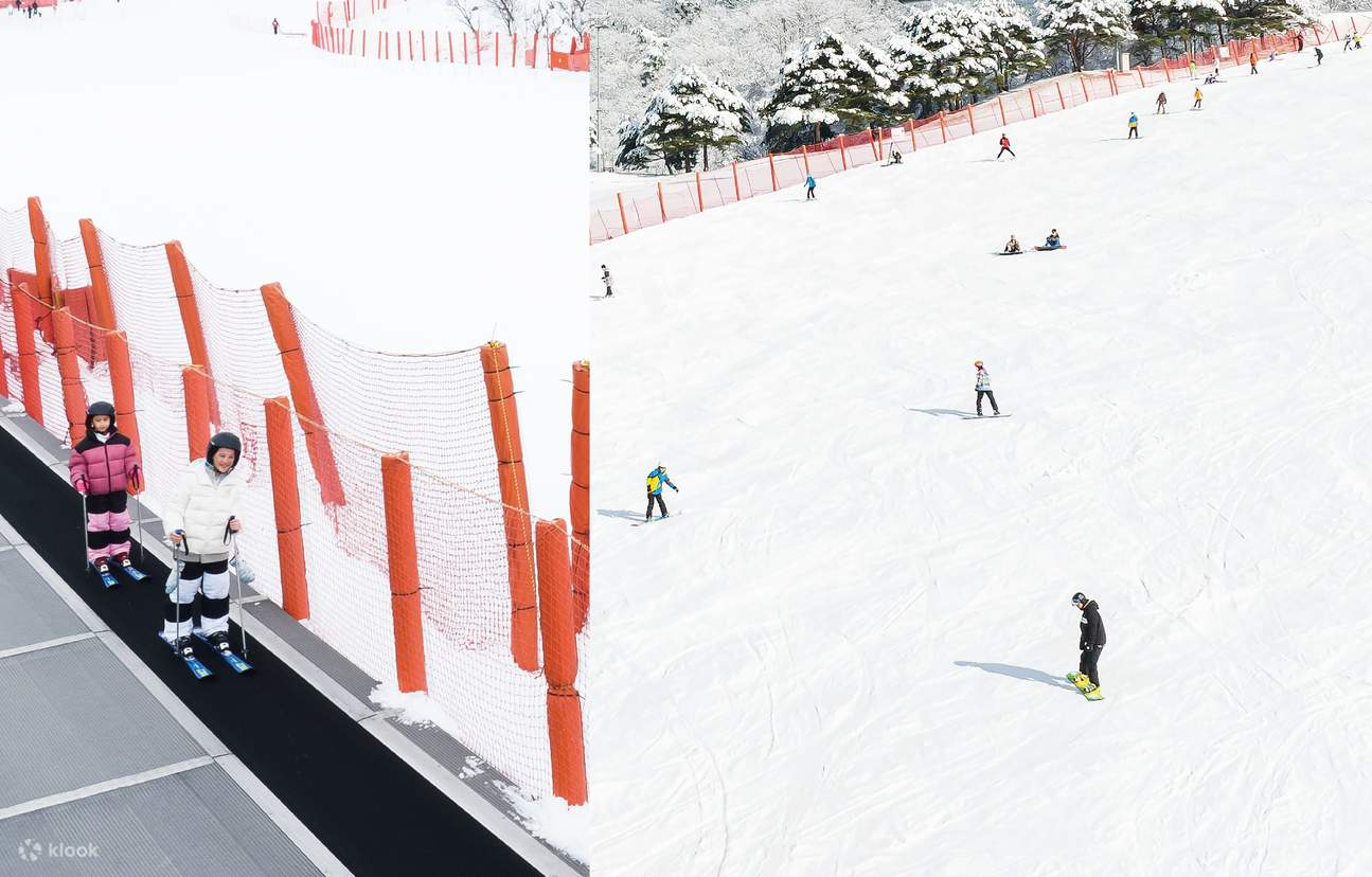 Vivaldi Park Snowyland & Eobi Ice Valley Day Tour from Seoul - Klook ...