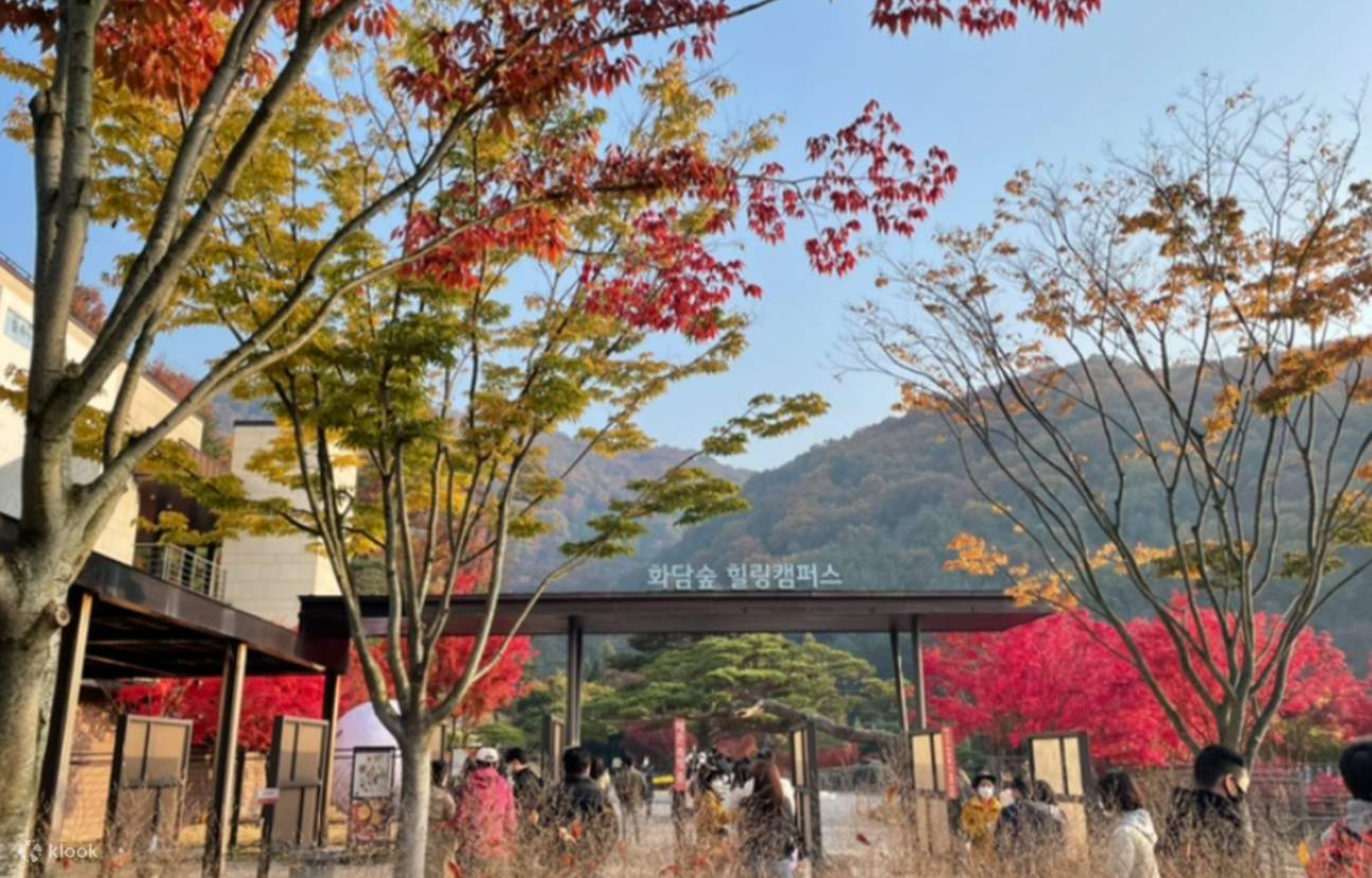 Alpaca World, Nami Island & The Garden of Morning Calm Private Tour ...