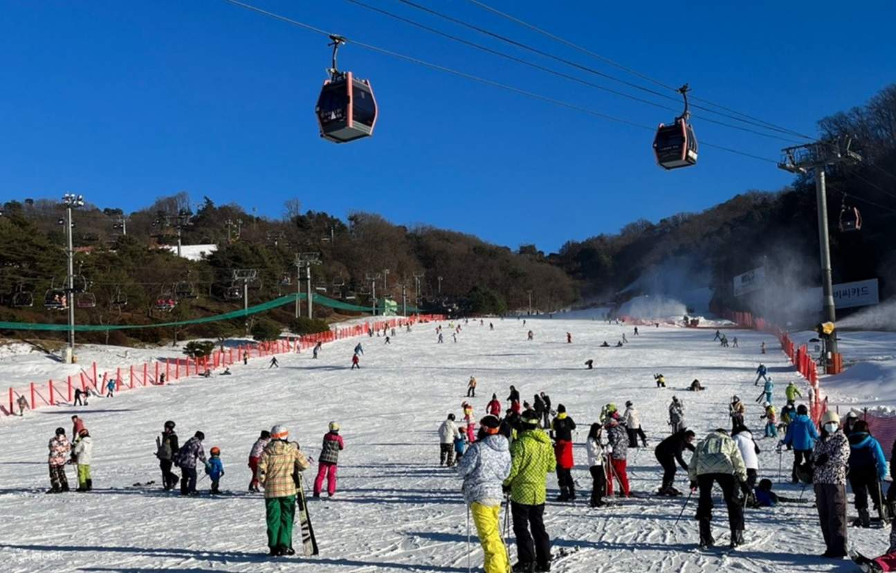 Vivaldi Park / Ski + Snowboard + SnowyLand Day Tour - Klook