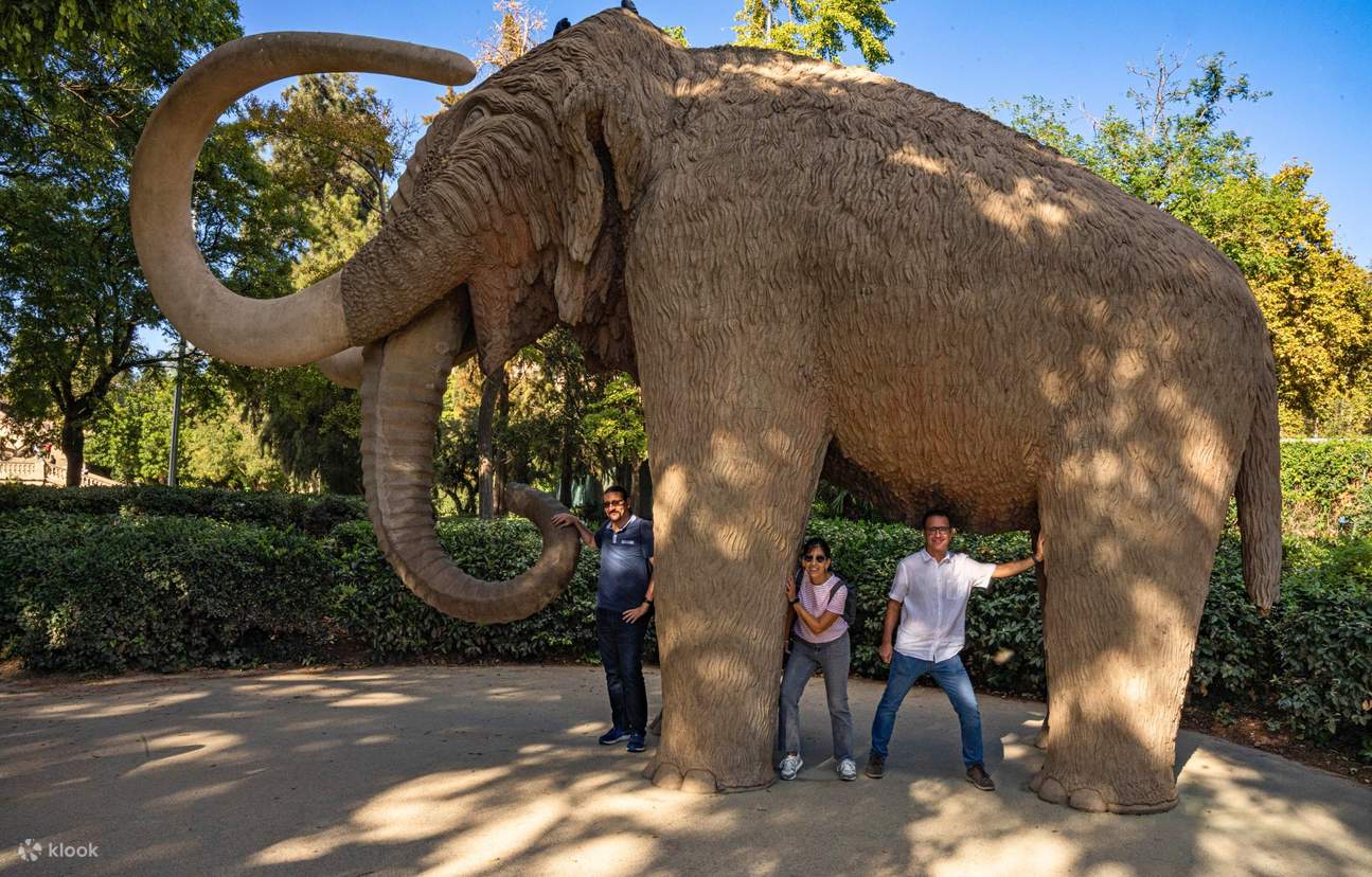 Ciutadella Photo Workshop and Tapa - Klook United States