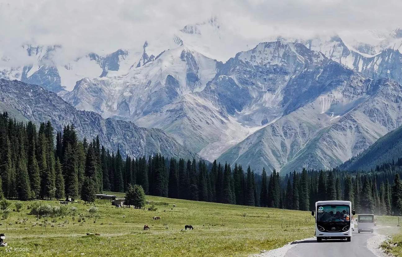 [Tour di 4 giorni nel Sichuan occidentale innevato] Jiuzhaigou ...