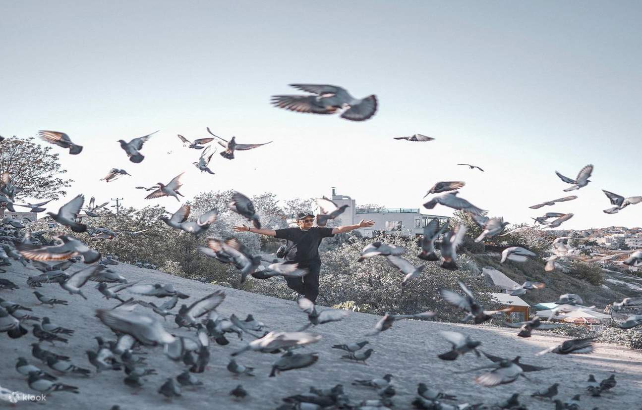 Full Day Cappadocia Red Plus Private Tour - Explore the mesmerizing ...