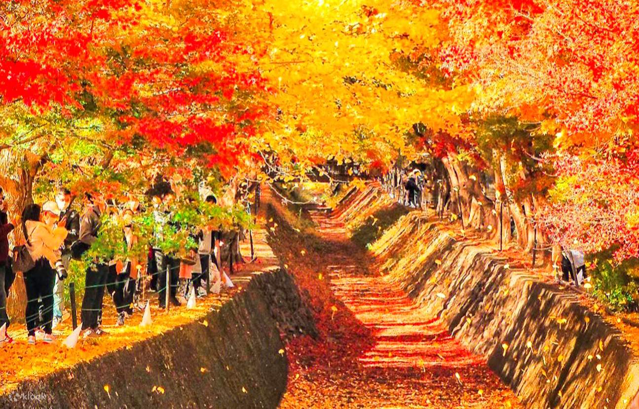 가와구치 호수 And 아라쿠라야마 센겐 공원 And 후지산 5합목 And 후지산을 볼 수 있는 온천 속 야마나카 호수 클룩 Klook 한국