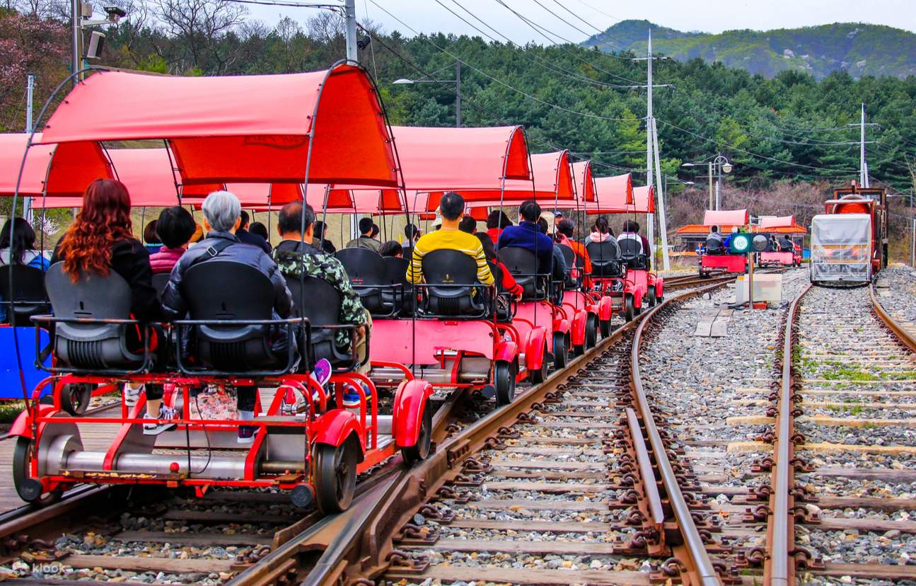 Alpaca World, Nami Island & The Garden of Morning Calm Private Tour from Seoul - Klook Singapore