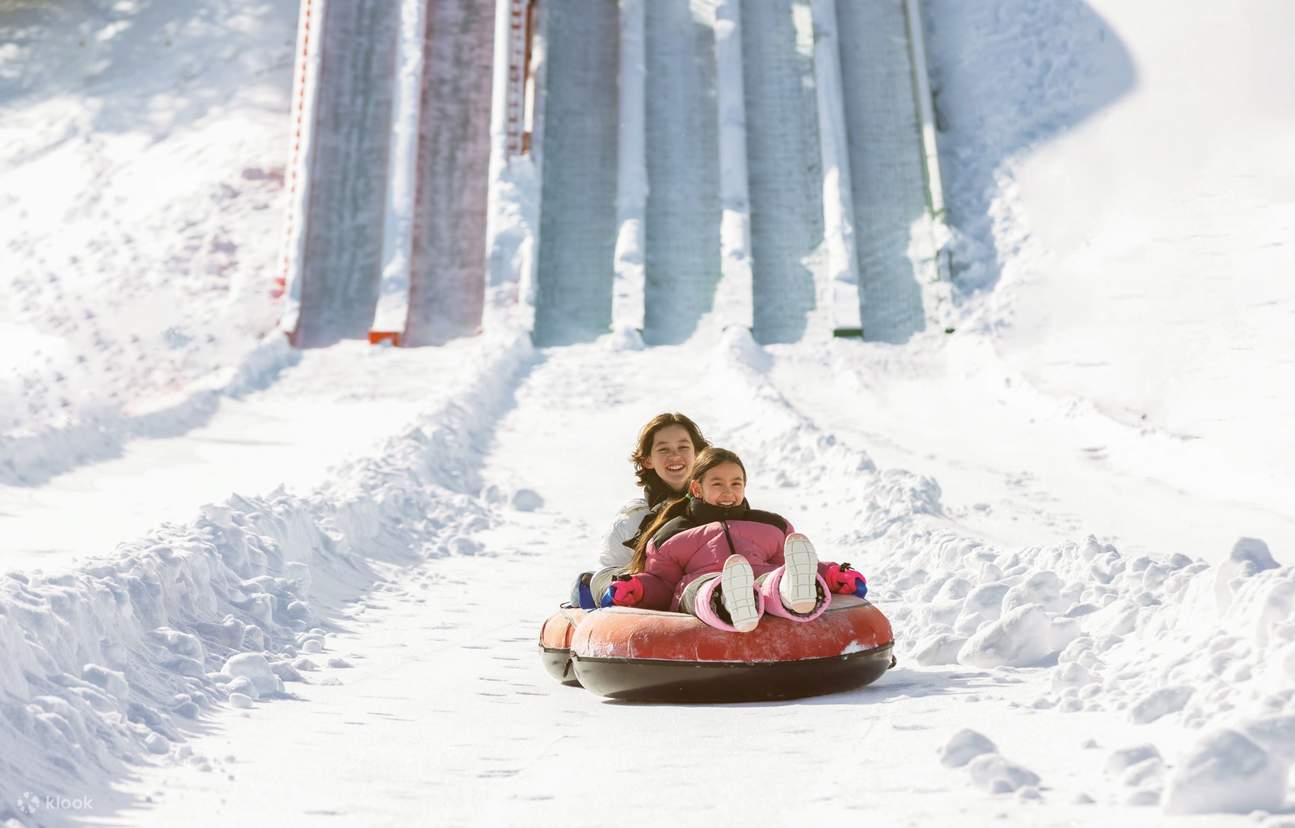 Vivaldi Park Snowyland & Eobi Ice Valley Day Tour from Seoul - Klook Australia