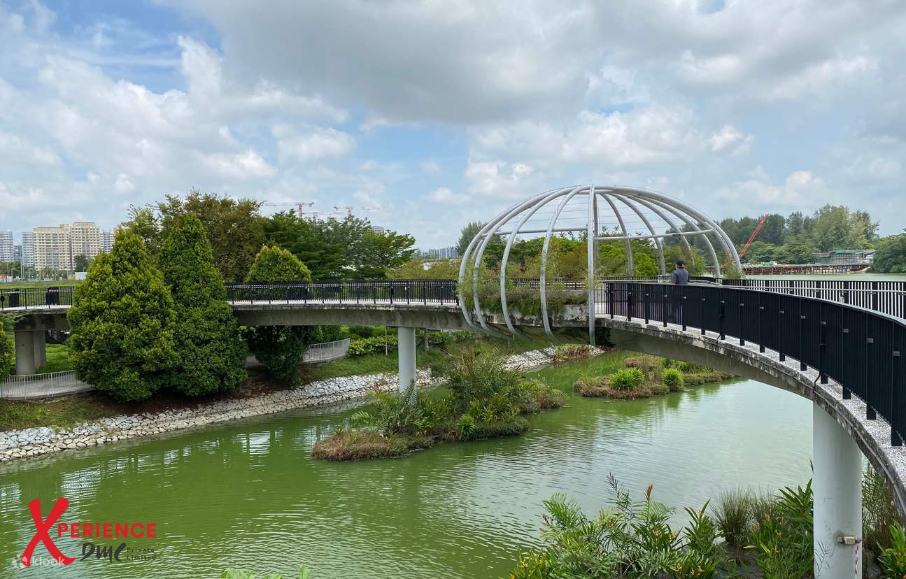 Idyllic Waterways, Wetlands and Bridges of Punggol (Cycling Tour ...