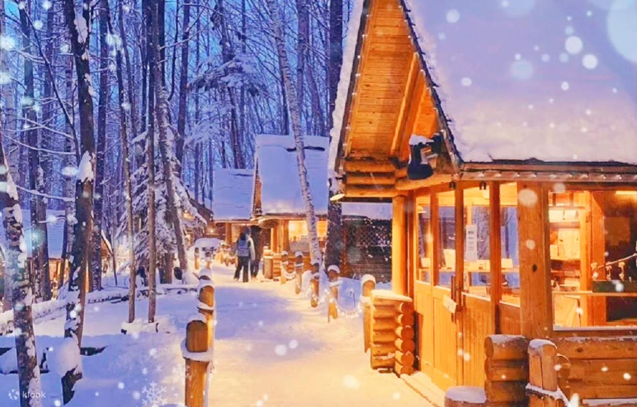 Asahiyama Zoo Ken Mary Tree Shikisai-no-oka Ningle Terrace Bus Tour ...