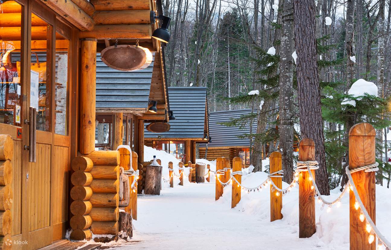 Mini Group for 9 People·Hokkaido Asahikawa & Biei One Day Tour - Klook ...