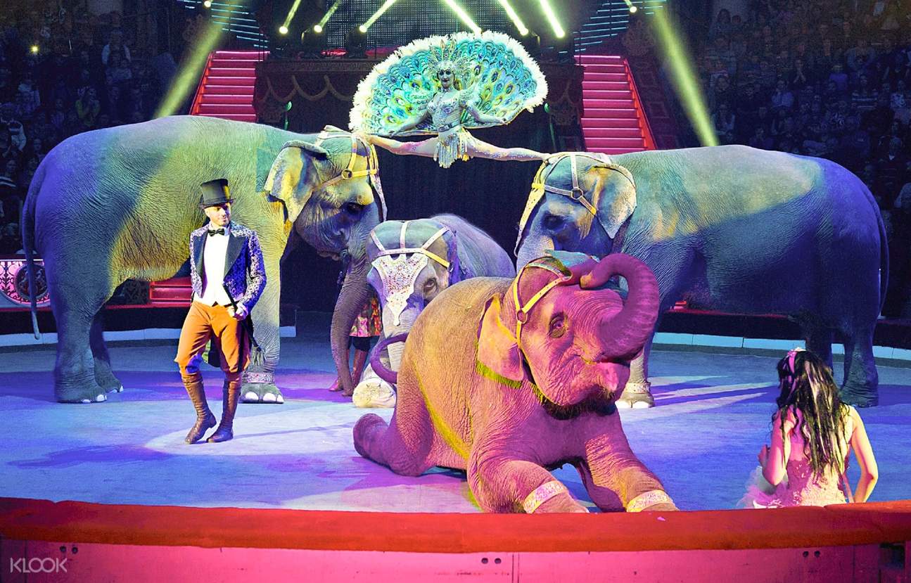 The Moscow Big State Circus Ticket in Moscow, Russia