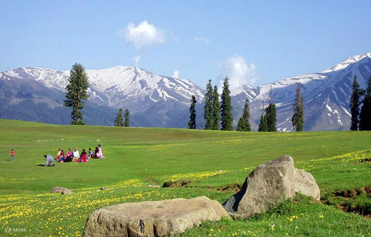 Sinthan Top Private Tour from Srinagar - Klook