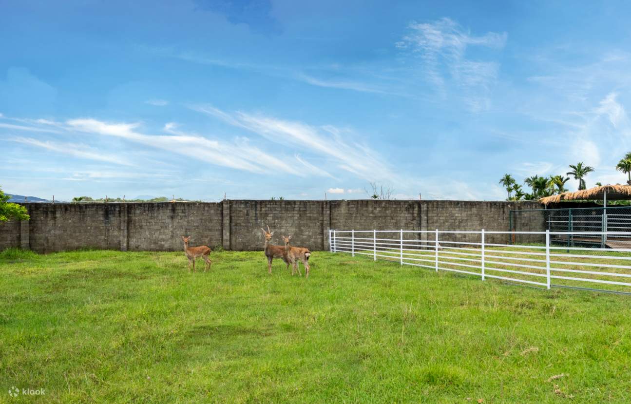 Hainan Lingshui Locean Serenity Home 1/2 Day Tour: Befriend a World ...