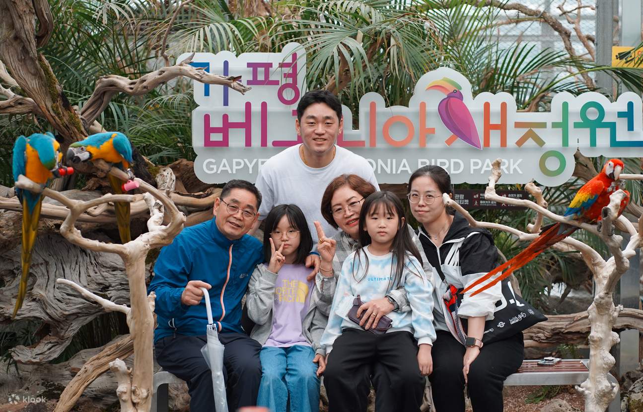 Nami Island/Alpaca World/Rail Bike/Begonia Bird Park/Cherry Blossoms - Klook États-Unis