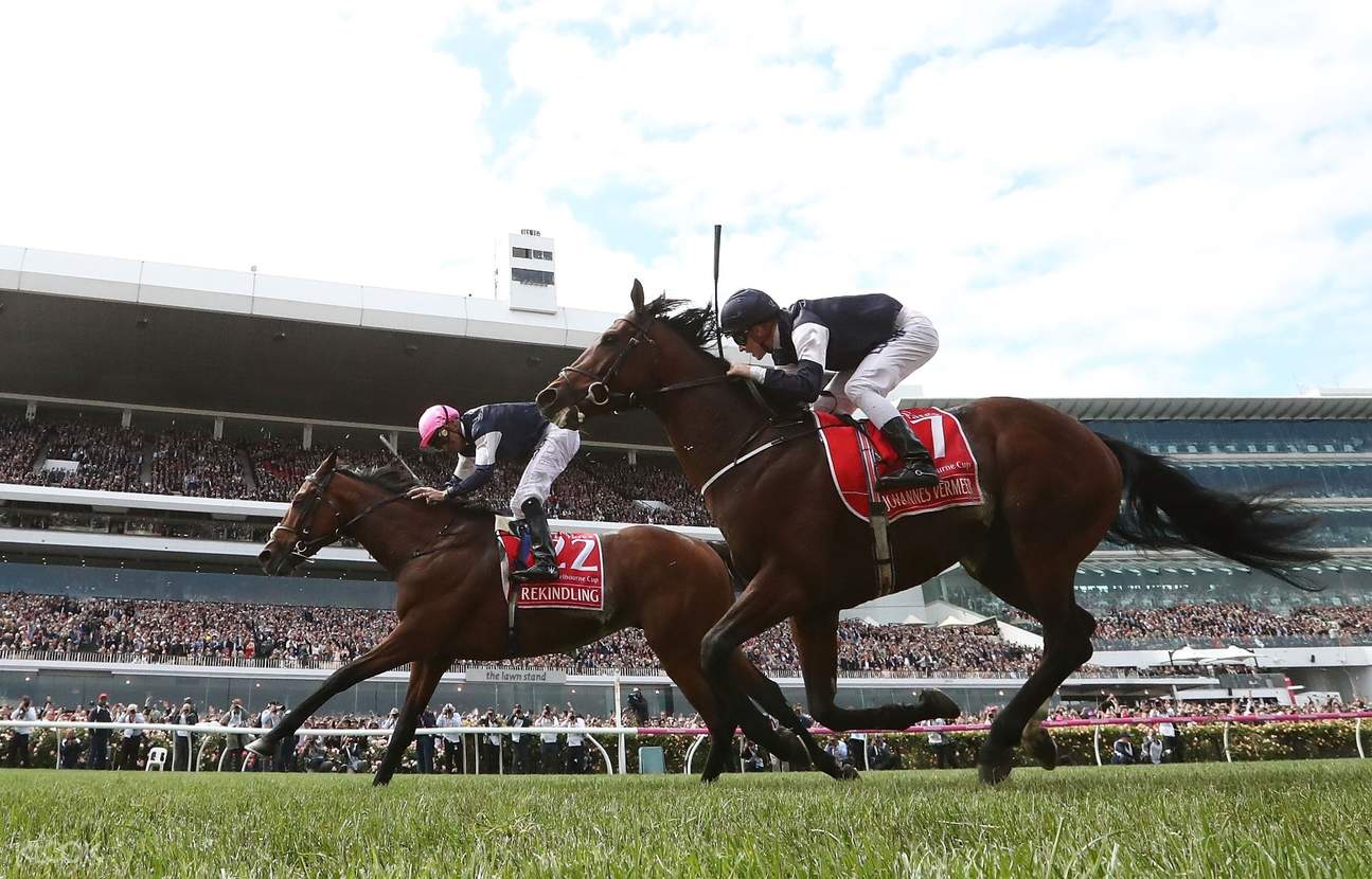 Melbourne Cup AAMI Victoria Derby Day Ticket in Melbourne - Klook