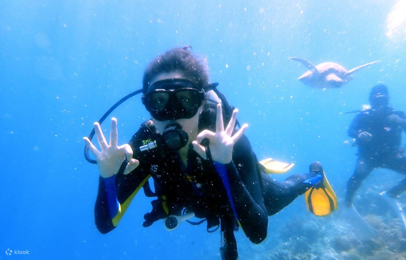 Timba-Timba, Mataking Island Diving and Coral Planting in Pom Pom ...
